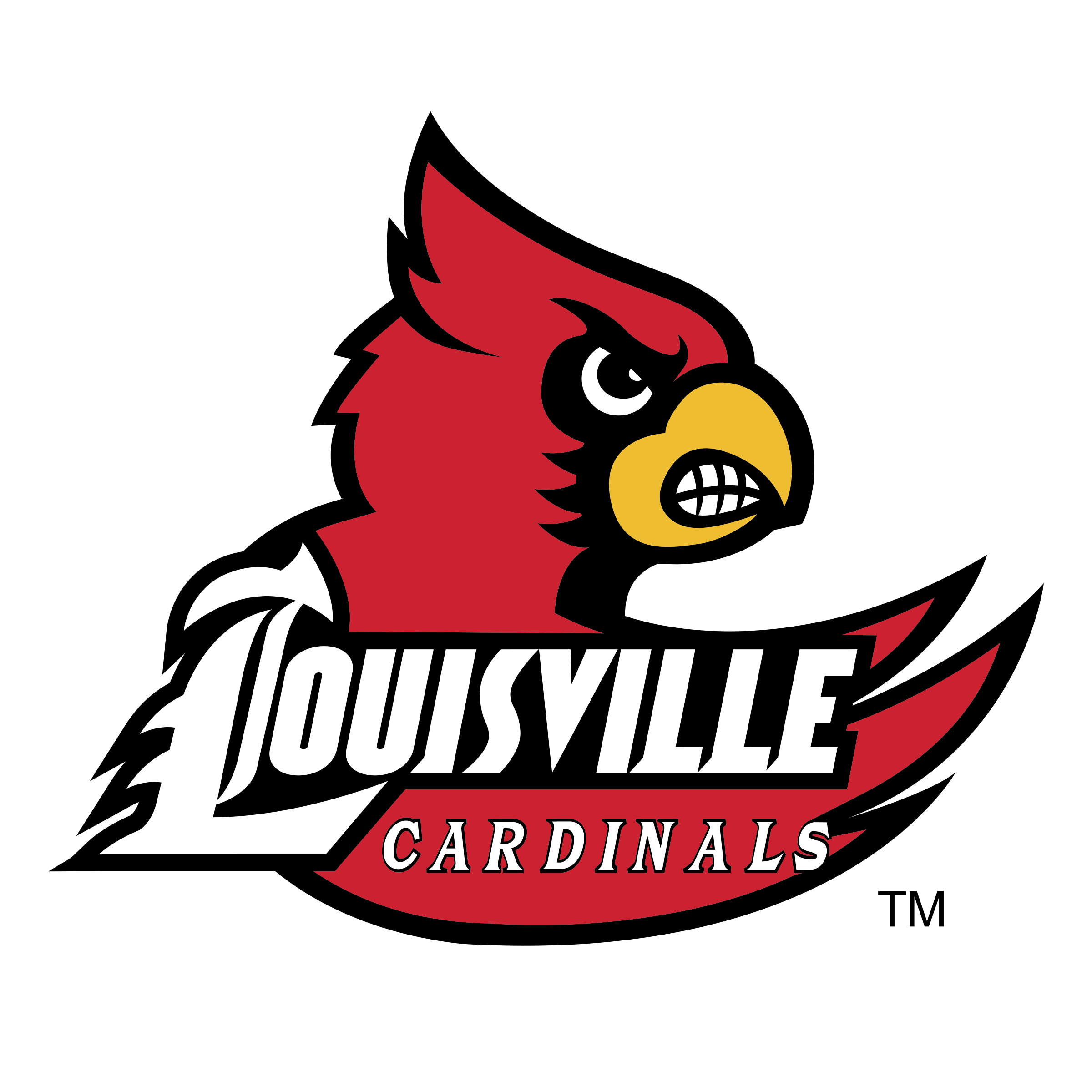 Homepage - Indiana Bulls