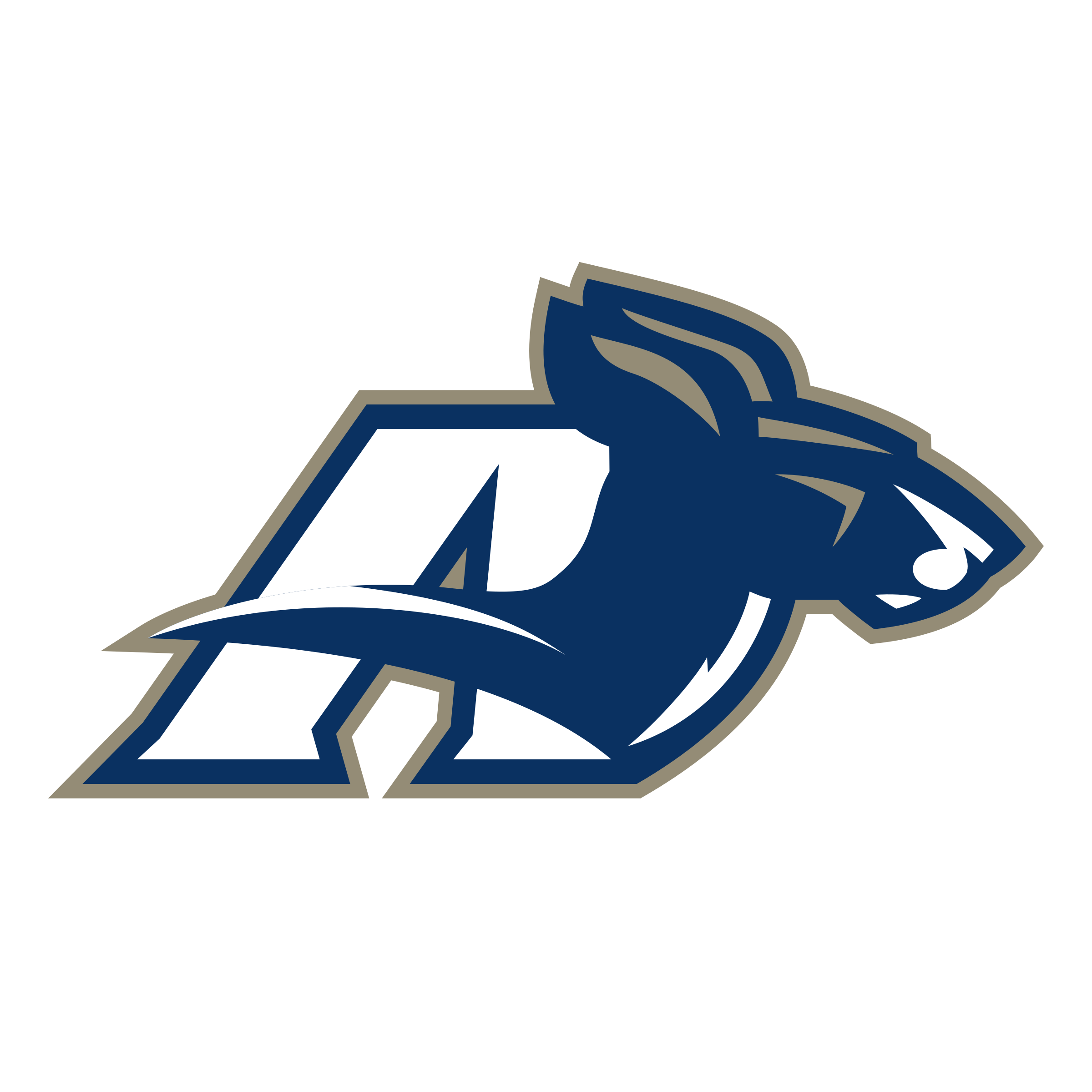 Homepage - Indiana Bulls